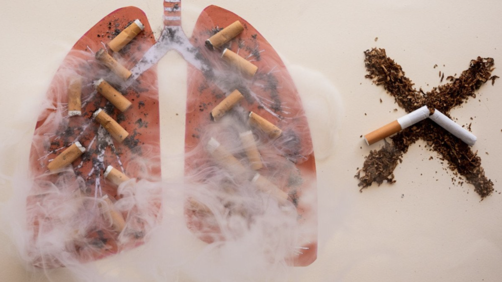 Se cumplen 20 años de las acciones para el control del tabaco - Salud ...